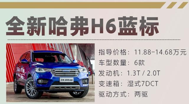 销量第一的哈弗H6 原来这么多版本，你的是哪款-新浪汽车