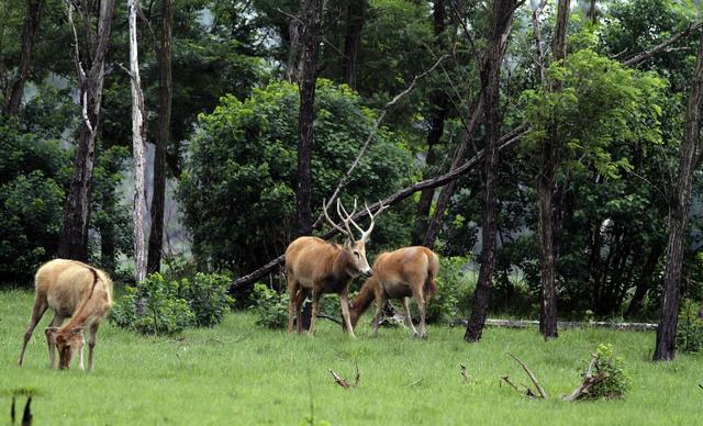 江苏一高铁将开建，通车后盐城至上海仅1小时，大丰站回归|大丰|盐城|高铁_新浪新闻