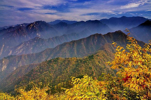 秋天的秦岭究竟有多美？|秦岭|国道|盛宴_新浪新闻
