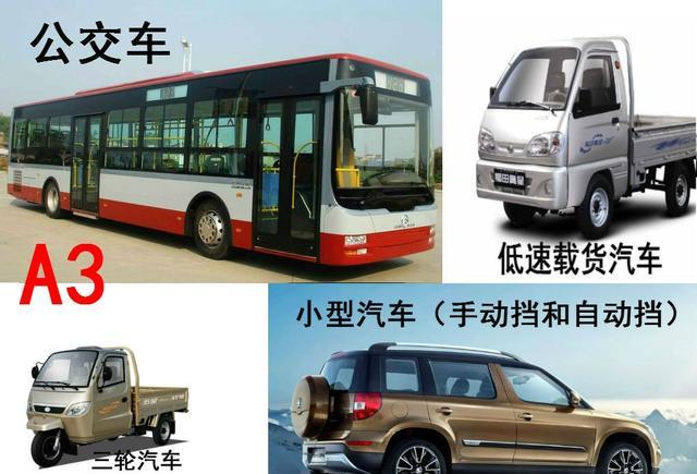 C1本还能开这种车？80%老司机不知道-新浪汽车