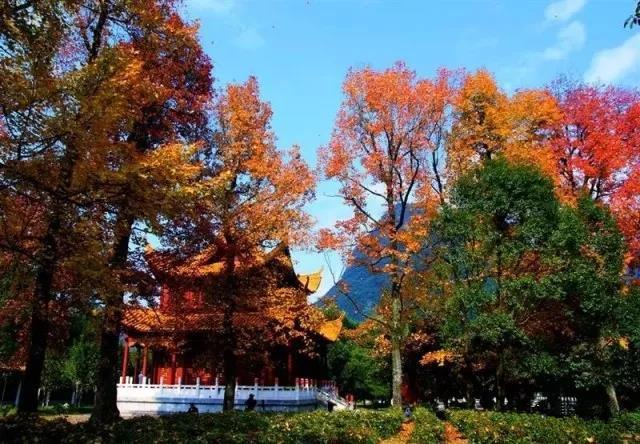 宁远：“景区+全域旅游”发展模式创新|旅游|景区|文化_新浪新闻