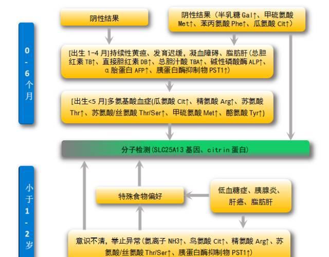 希特林缺陷病--一种不能吃母乳的遗传病