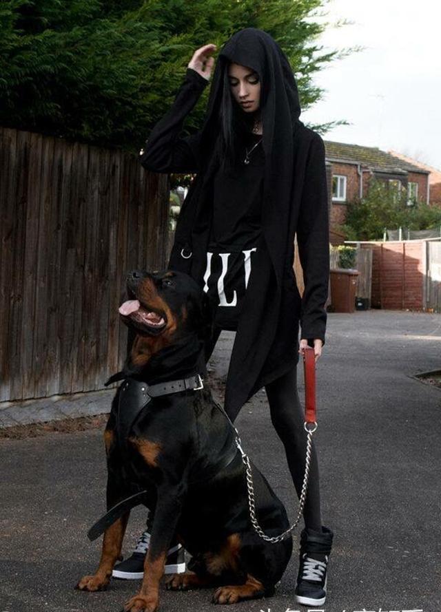 被誉为世界第一防暴犬的罗威纳，带他回家的十大理由！|世界第一|防暴犬|主人_新浪新闻