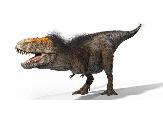 真正的霸王龙长毛的? 小短手卖萌, 不会咆哮的霸王毛龙