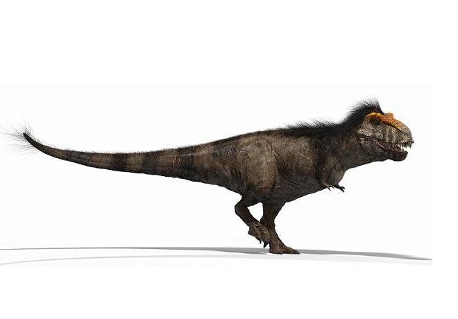 真正的霸王龙长毛的? 小短手卖萌, 不会咆哮的霸王毛龙