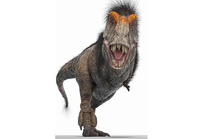 真正的霸王龙长毛的? 小短手卖萌, 不会咆哮的霸王毛龙