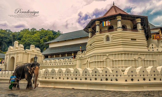 行摄斯里兰卡之别具一格的文化三角