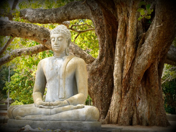 行摄斯里兰卡之物产丰富的宝地