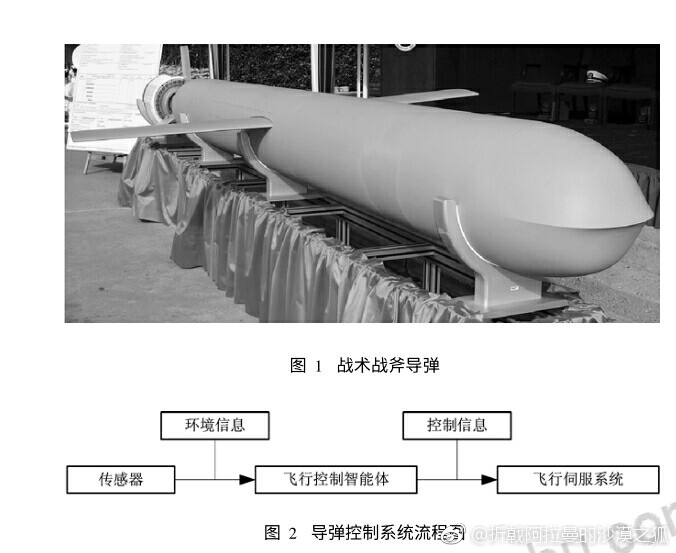 导弹智能化技术---介绍2|技术|智能化|战斧导弹_新浪新闻