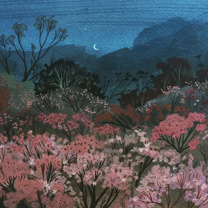 插画 Becca Stadtlander | www.beccastadtlander.com