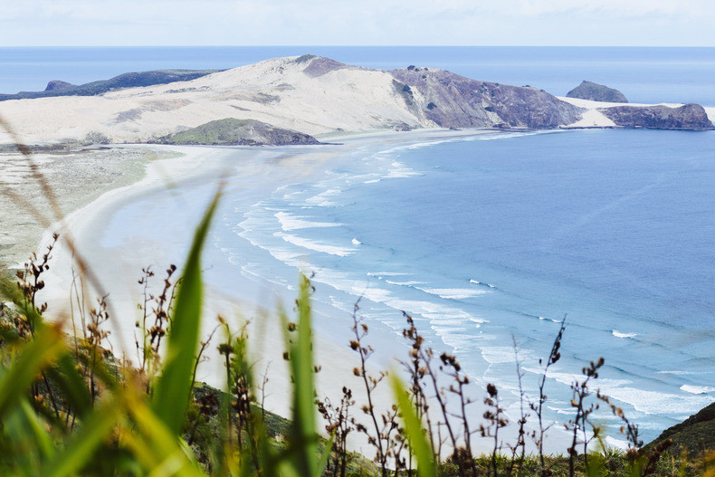 岛屿湾, 新西兰最北方的神奇世界！
