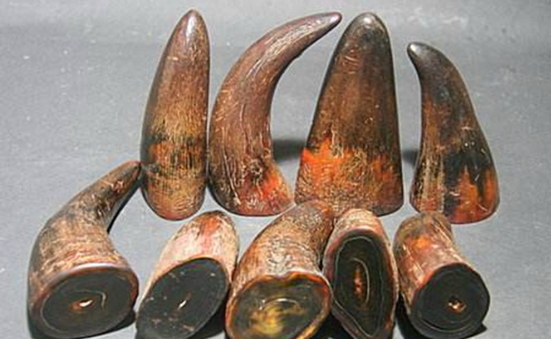 世界上公认价格最贵的那些物质，金子竟然成倒数第一