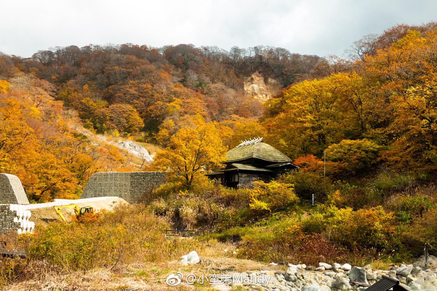 秋田出美人|黑汤|秋田县|美人_新浪新闻