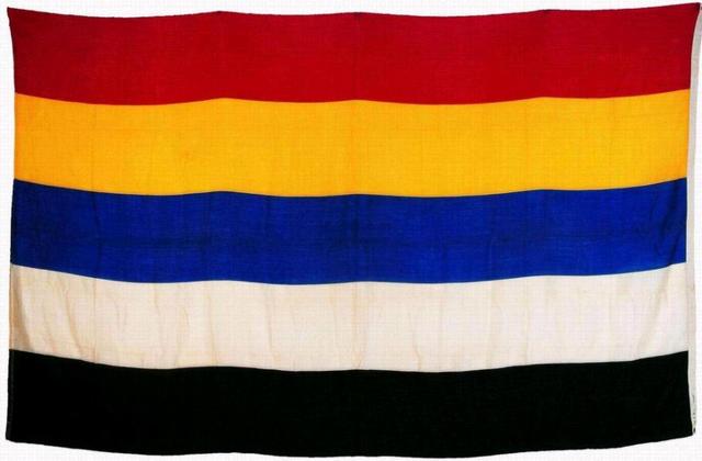 都是汪伪国民政府的军队，华北伪军为什么不用“青天白日”？