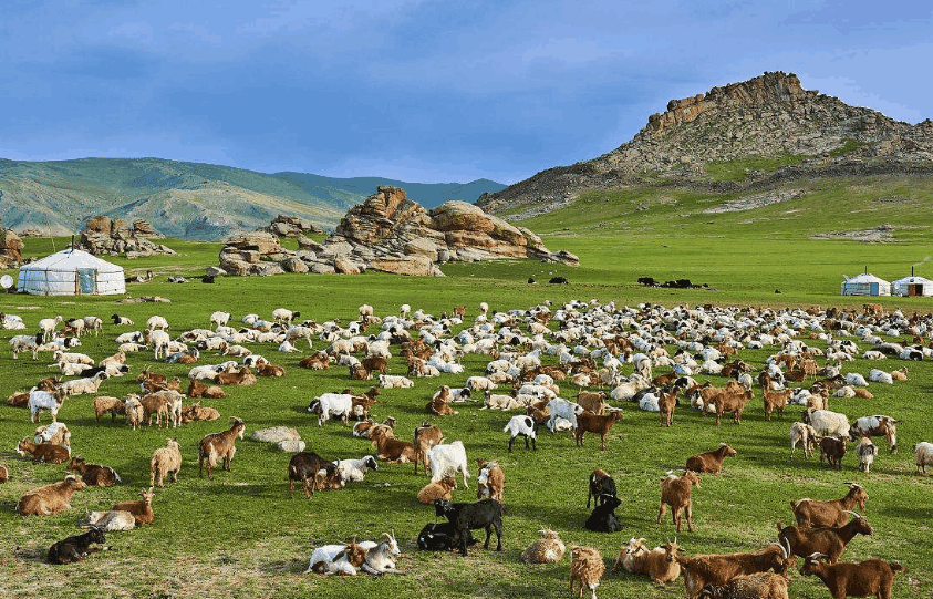 直击外蒙古的四个大城市，第二大城市人口不如我国一个镇！|乌兰巴托|蒙古国|大城市_新浪新闻