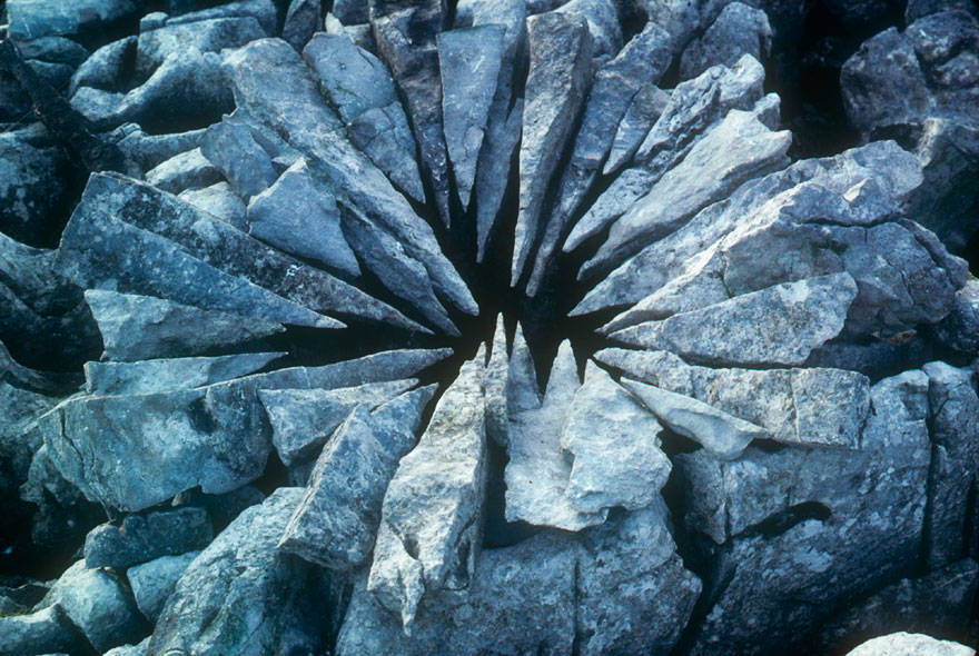 Andy Goldsworthy