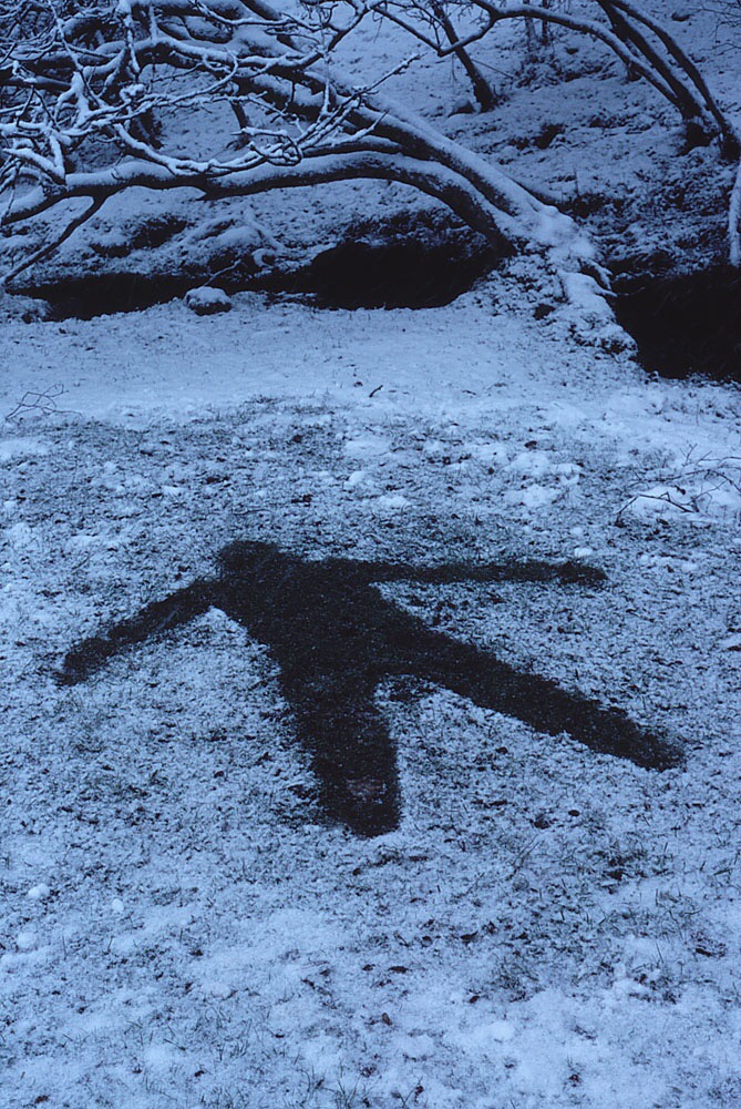 Andy Goldsworthy