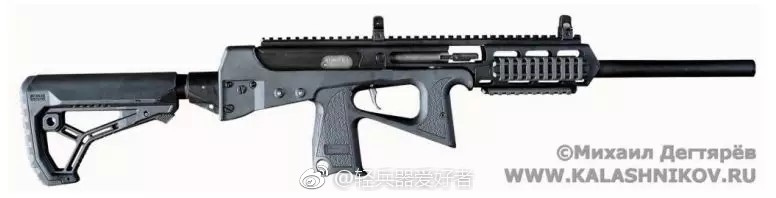 民用推出：PP-2000冲锋枪和OSV-96大口径步枪推出民用版
