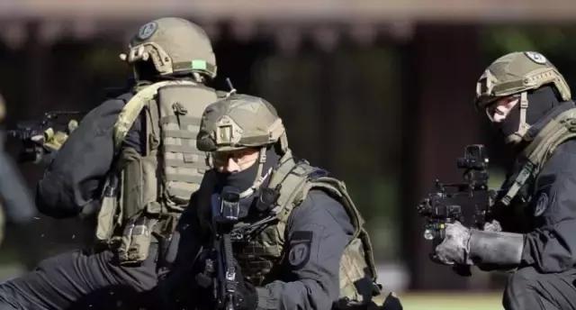 CS百科——因奥运会而生的反恐精英“GSG-9”