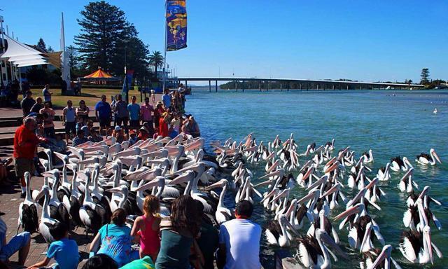 不要轻易移民澳大利亚, 富裕的生活与你无关|澳大利亚|移民|悉尼_新浪新闻