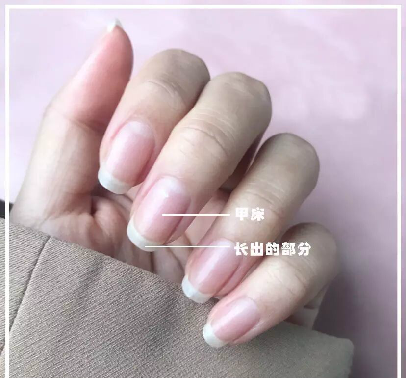 指甲形状的不同,是打造美甲整体效果的第一要素 指甲 甲床 形状 新浪新闻