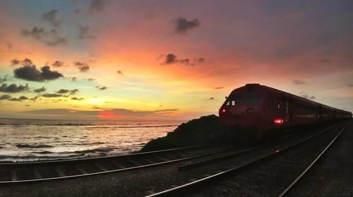 《千与千寻》的海上火车，原型为斯里兰卡小火车也有这么神奇吗？|千与千寻|斯里兰卡|火车_新浪新闻