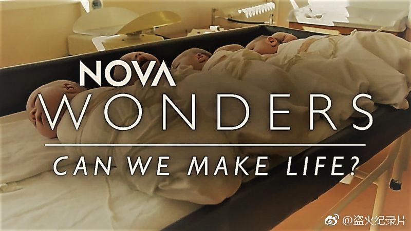 PBS六集Nova新作已经全部翻译完成。下载地址|What's|下载地址|新作_新浪新闻