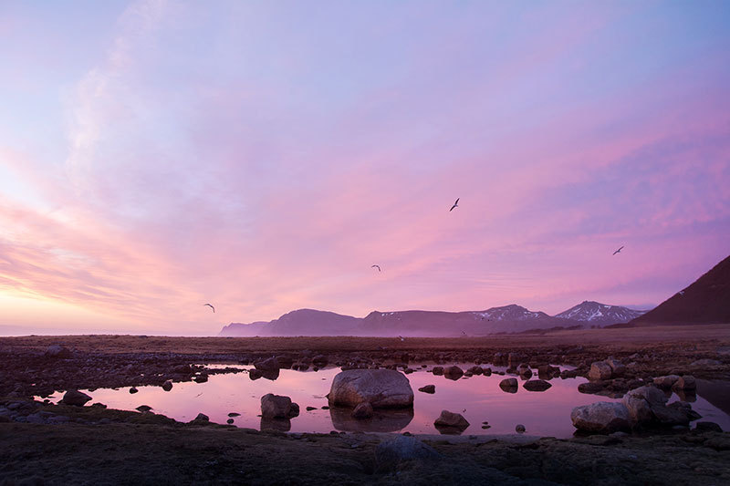 Pink Sky | Bjørg-Elise Tuppen_新浪新闻