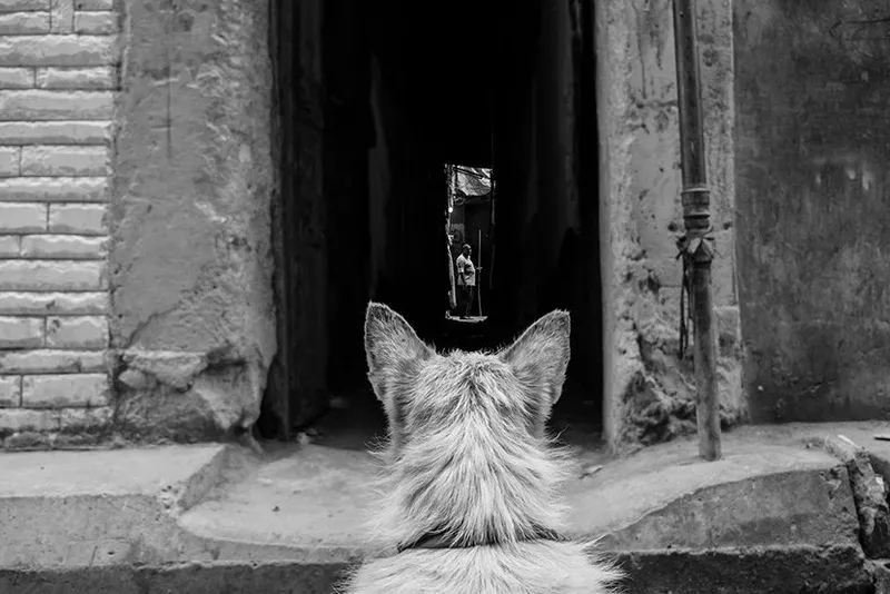 街角故事丨埃及摄影师Mohamed Mahdy作品欣赏