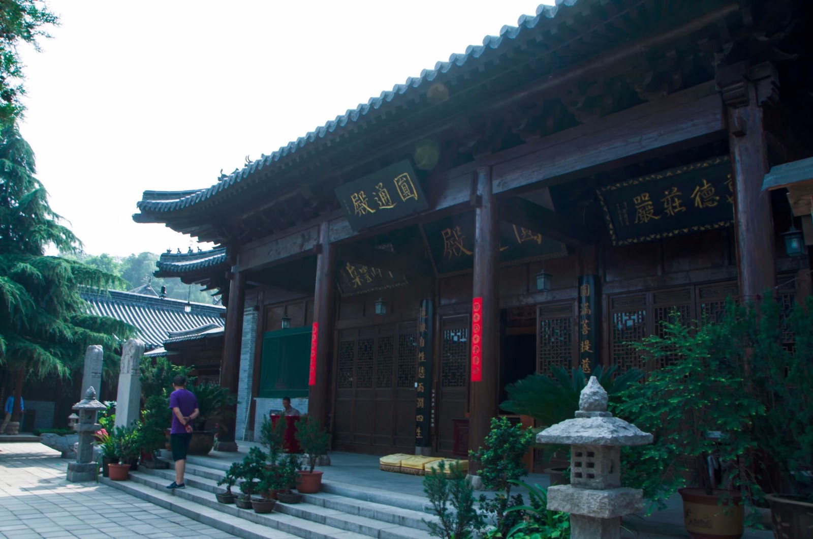 古观音禅寺因网红银杏树大火，冬天与夏天的佛门清幽来感受一下