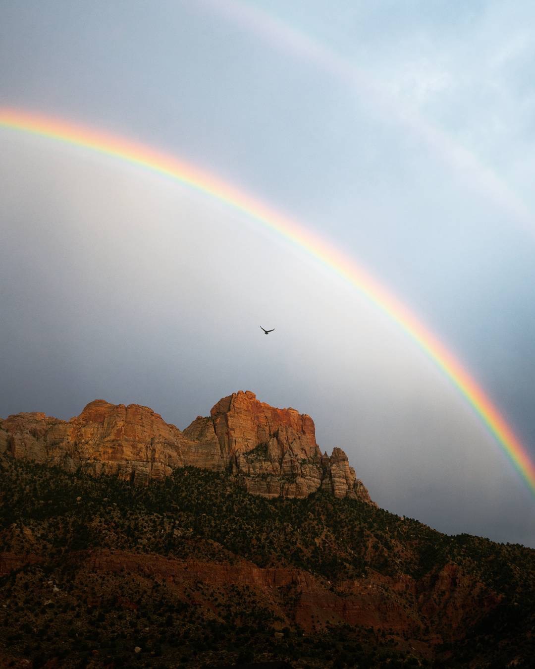 雨后的彩虹，是那么的遥不可及。早安！图 | 摄影师 Ty Newcomb