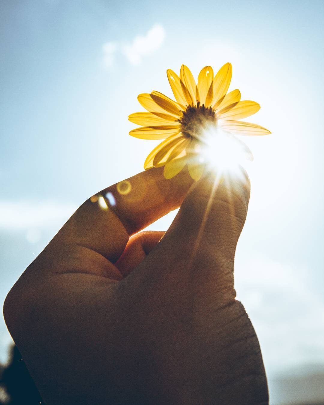 雨后的彩虹，是那么的遥不可及。早安！图 | 摄影师 Ty Newcomb|雨后|彩虹|摄影师_新浪新闻