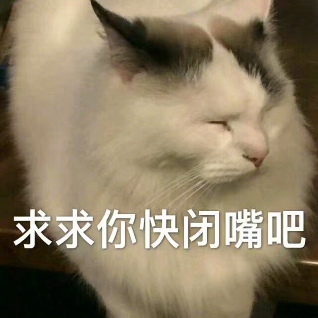 一组萌萌的猫咪表情包 点赞吸猫