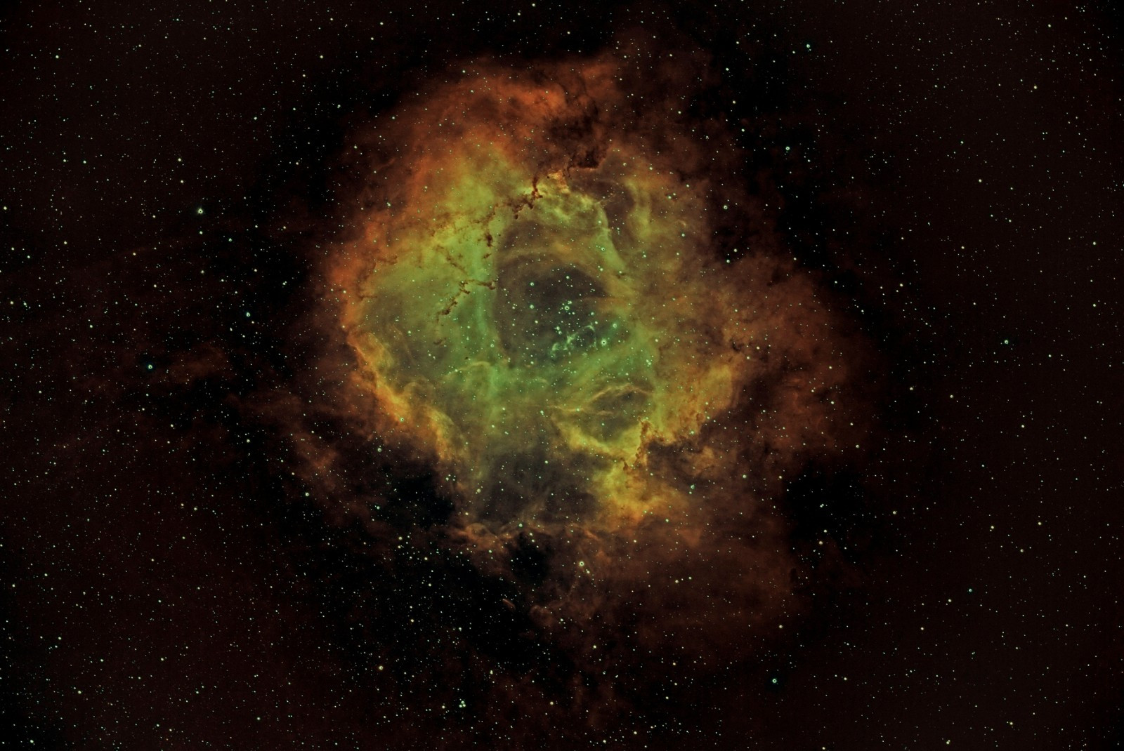 ZWO天文相机系列之NGC2237玫瑰星云天文同好深空摄影展示|星云|导星镜|蔷薇_新浪新闻