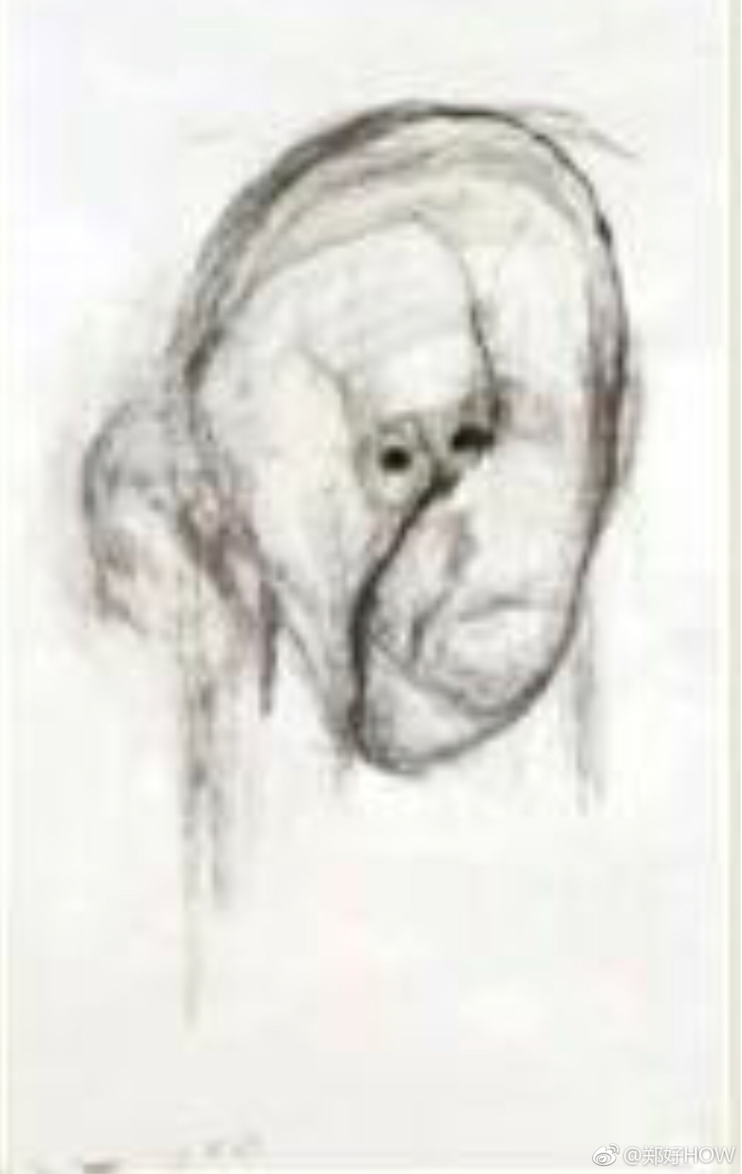 William Utermohlen是位美国艺术家|自画像|艺术家|线描_新浪新闻