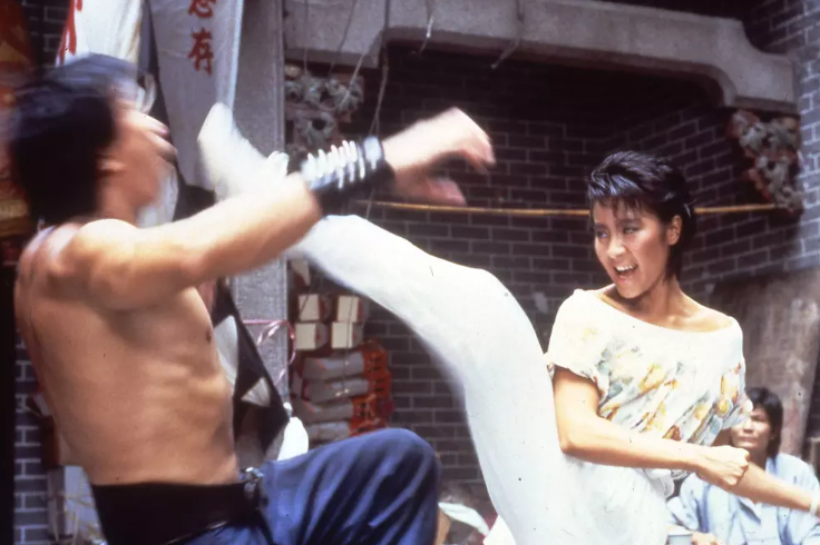 杨紫琼的十部动作经典，合作成龙，搭档李连杰，甄子丹两度助阵|杨紫琼|甄子丹|李连杰_新浪新闻