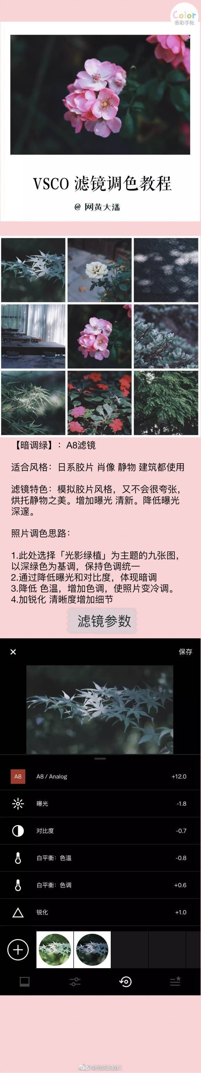 VSCO 滤镜调色教程合集 | 人物 | 日系 | 粉紫色 | 胶片 | 天空 | 港