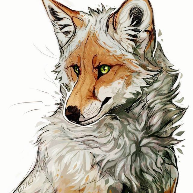 插画师 Giulialibard 一组动物插画INS：giulialibard |插画师|插画|动物_新浪新闻