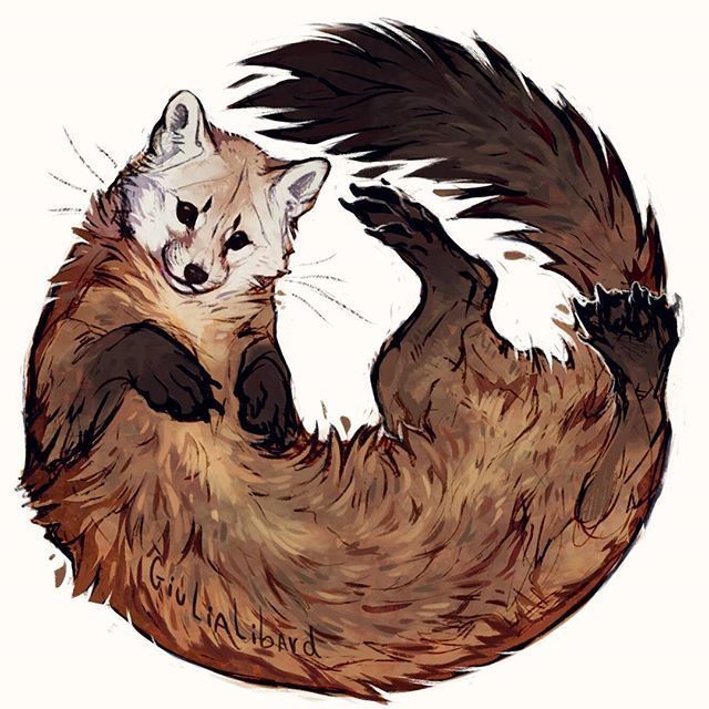 插画师 Giulialibard 一组动物插画INS：giulialibard |插画师|插画|动物_新浪新闻