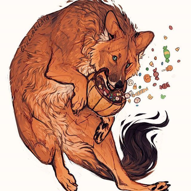 插画师 Giulialibard 一组动物插画INS：giulialibard |插画师|插画|动物_新浪新闻