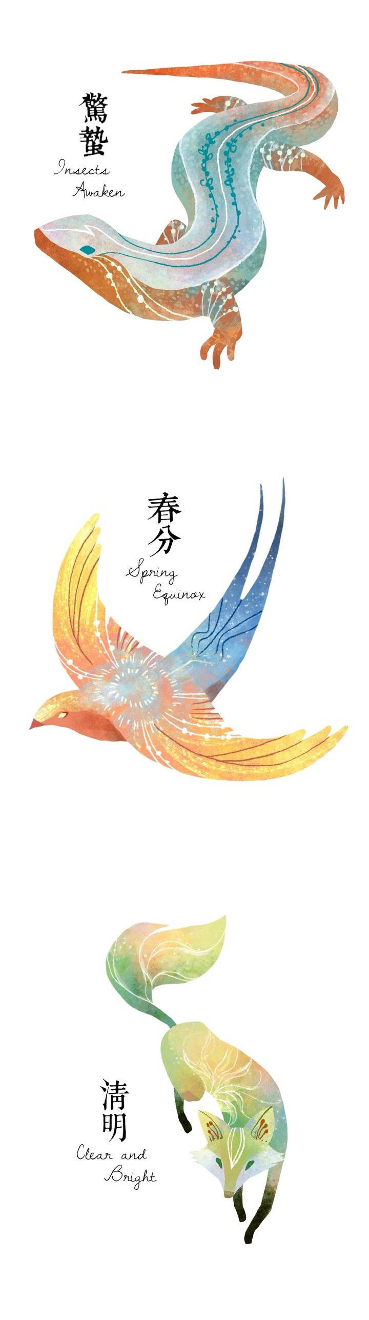 来欣赏下台湾插画师Cinyee Chiu设计的二十四节气动物插画