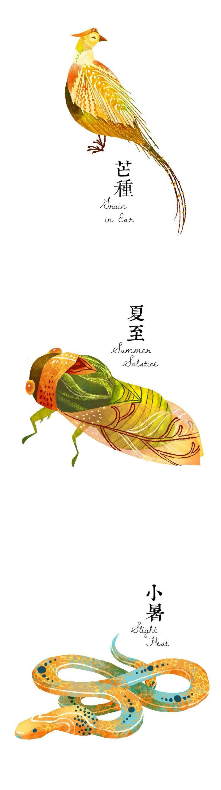 来欣赏下台湾插画师Cinyee Chiu设计的二十四节气动物插画