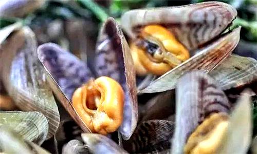 寻味潮汕美食之——薄壳地图，一篇了解薄壳的真正图文知识|澄海|薄壳|潮汕_新浪新闻