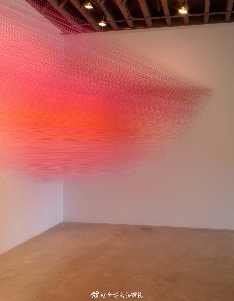 来自美国艺术家Anne Lindberg的精彩装置作品。成千上万的线索