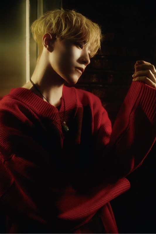 VAV中国成员Jacob张朋写真曝光 “红与黑”狙击少女心