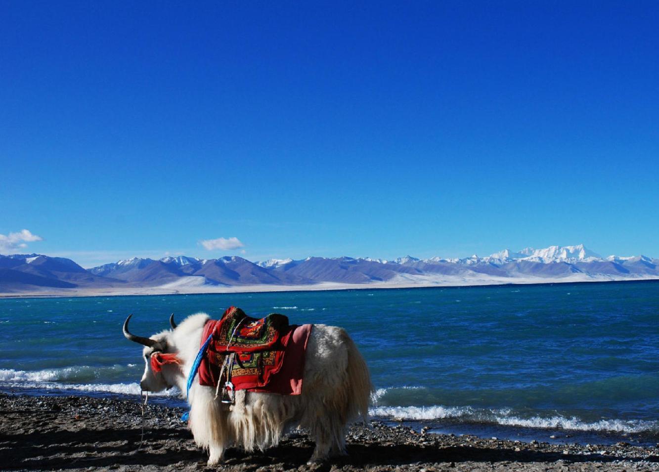 西藏原来也可以这样美——西藏美景照欣赏