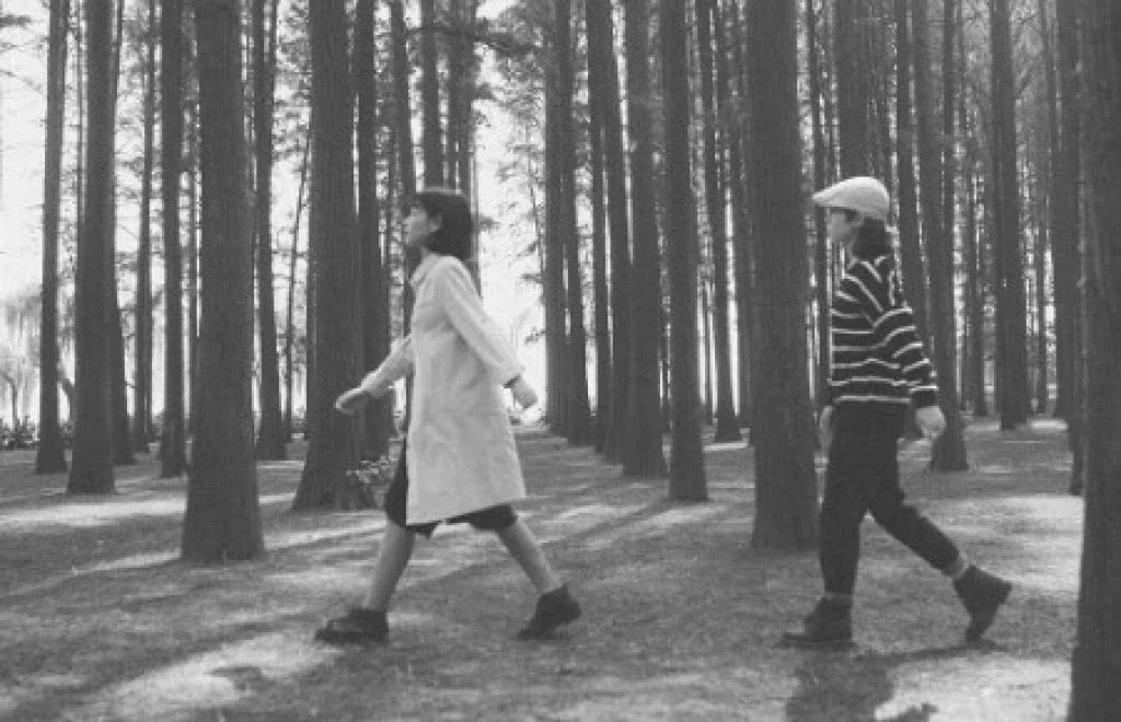 房东的猫：你是我最愚蠢的一次浪漫。