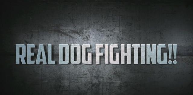 空战游戏《Dogfighter WW2》19年登陆PS4平台|空战|游戏|登陆_新浪新闻