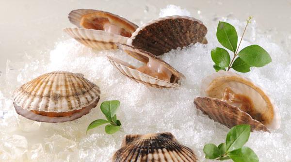 海南常见十大贝类海鲜, 你知道哪些?|海南|蛏子|海鲜_新浪新闻