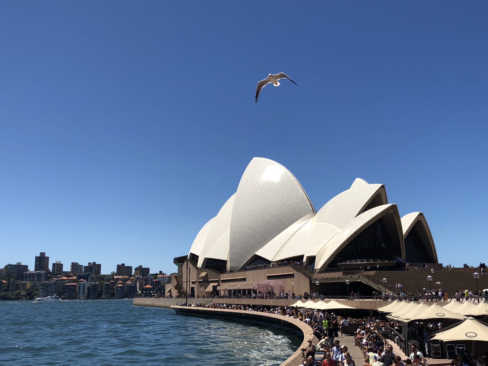 澳大利亚 悉尼 悉尼歌剧院及内景|悉尼歌剧院|内景|悉尼_新浪新闻